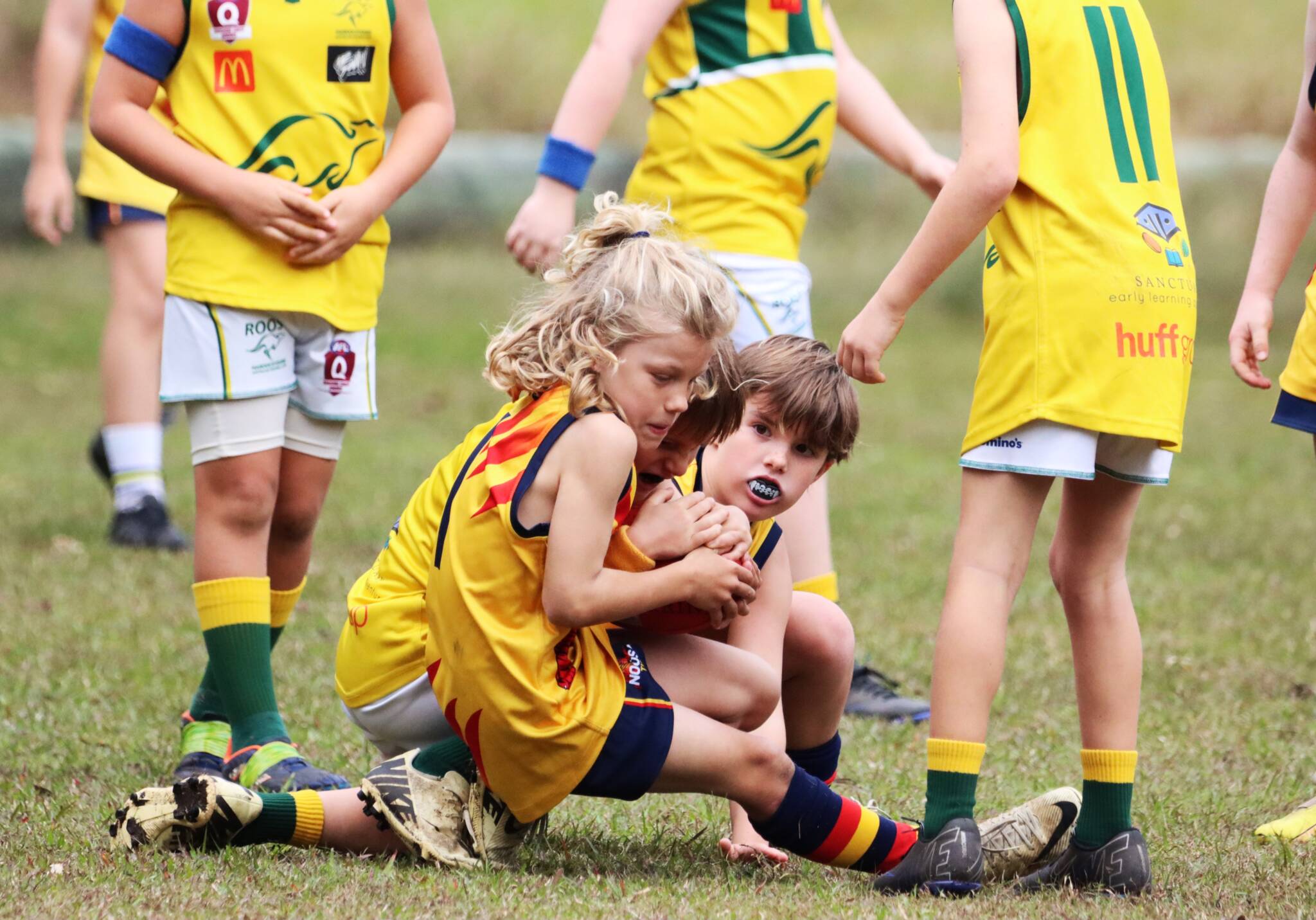 Junior Football – Noosa Tigers