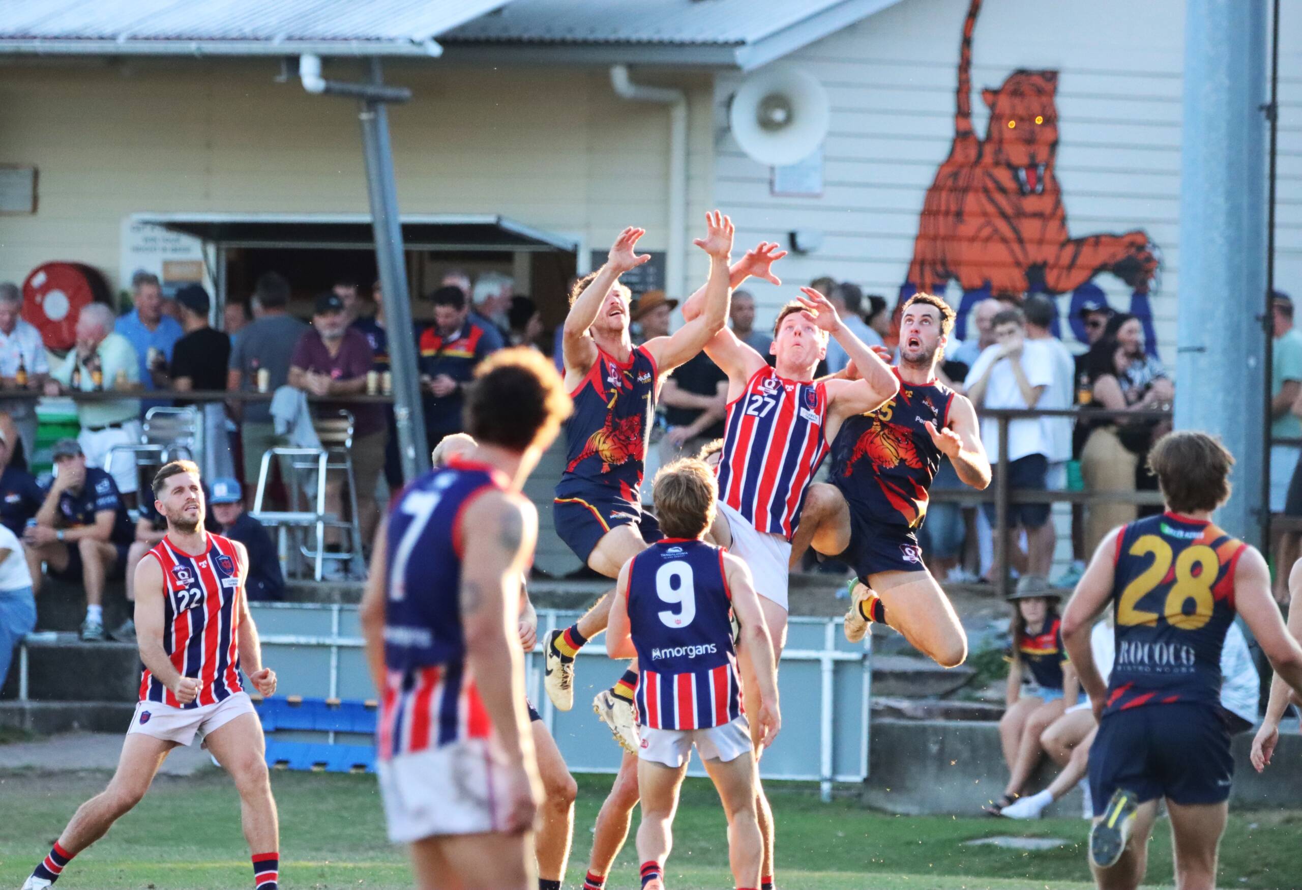 Player Sponsorship – Noosa Tigers